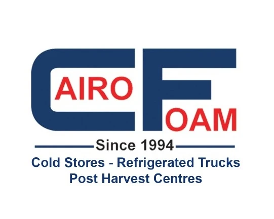 Homepage - Cairo Foam